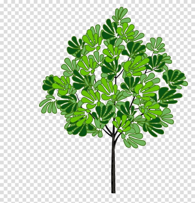 Free: Tree , Spring Tree transparent background PNG clipart - nohat.cc