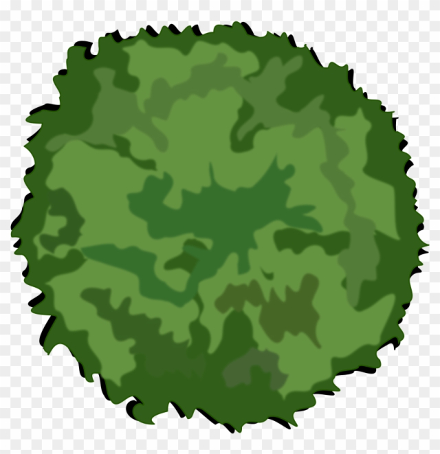 Free: Tree View Clipart 28a - Tree Clipart Top View - nohat.cc