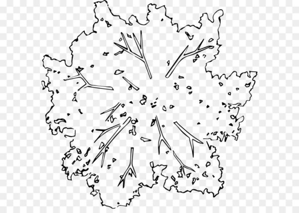 Free: Tree view - Hand painted tree top view - nohat.cc