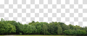 Free: Treeline png 3 » PNG Image - nohat.cc