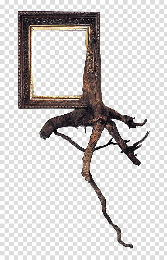 Free: Trees In Frames s, rectangular brown wooden frame transparent ...