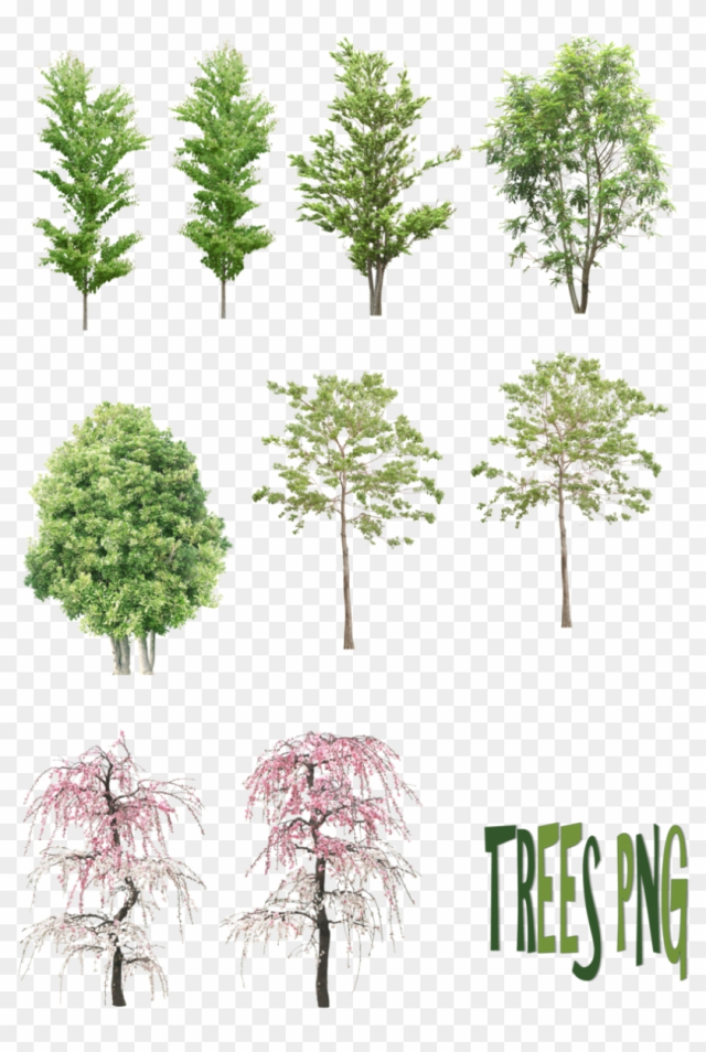 Free: Trees Png By Mysticmorning - Small Trees Png - nohat.cc