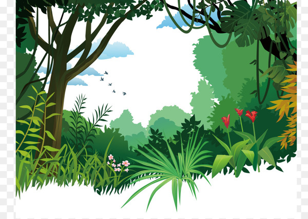 Free: Tropical and subtropical moist broadleaf forests Poster - forest ...