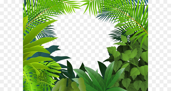 Free: Tropical rainforest Jungle Tropics Clip art - Yin green grass ...