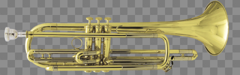 Free: Trumpet PNG Download Image - nohat.cc
