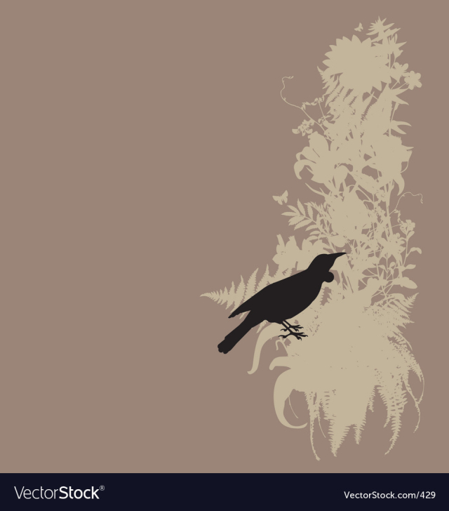 Free: Tui and native bush vector image - nohat.cc
