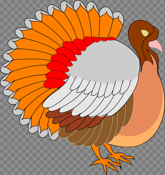 Free: Turkey Bird PNG Pic - nohat.cc