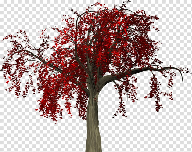 Free: Twig Tree , tree transparent background PNG clipart - nohat.cc