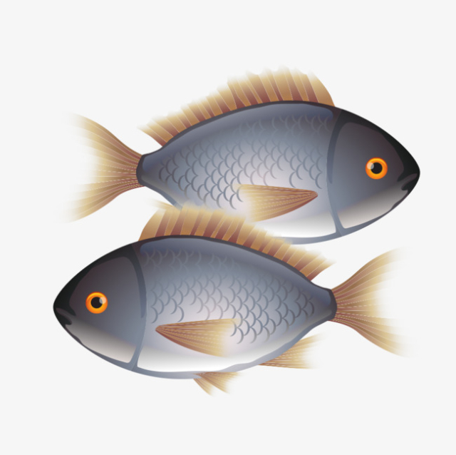 Free: Two Fish, Fish, Hand Painted Fish PNG Image and Clipart for Free ...