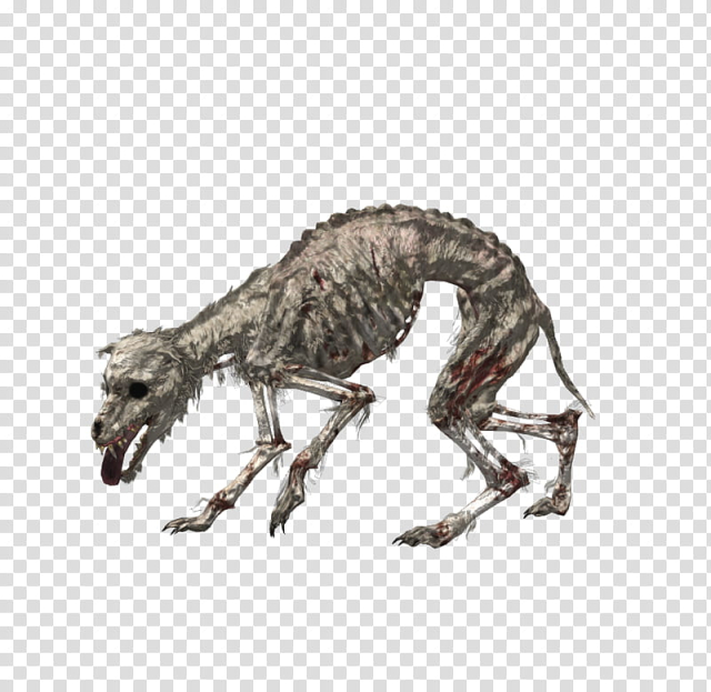 Free: Undead Dogs xps mmd, gray skeleton of animal illustration ...