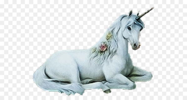 Free: Unicorn Animation Clip art - unicorn - nohat.cc