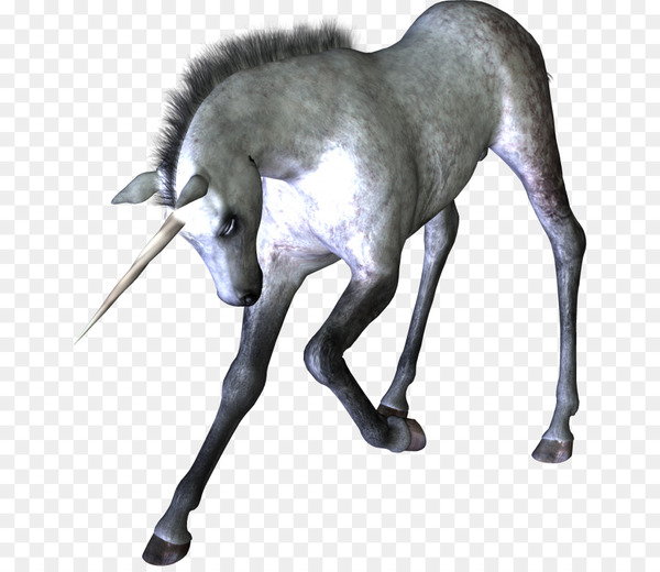 Free: Unicorn horn Horse Mythology - unicorn - nohat.cc