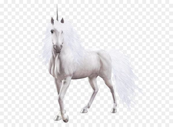 Free: Unicorn Horse Clip art - Unicorn PNG - nohat.cc