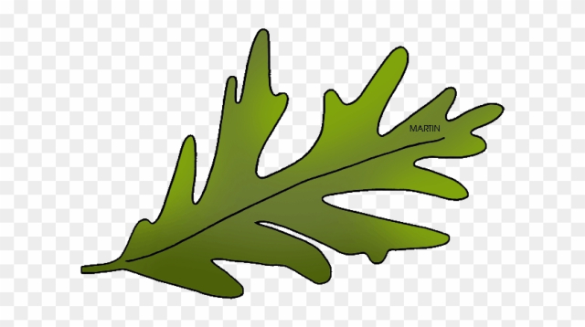 Free: United Clip Art By Phillip Martin, State Tree - Connecticut State ...