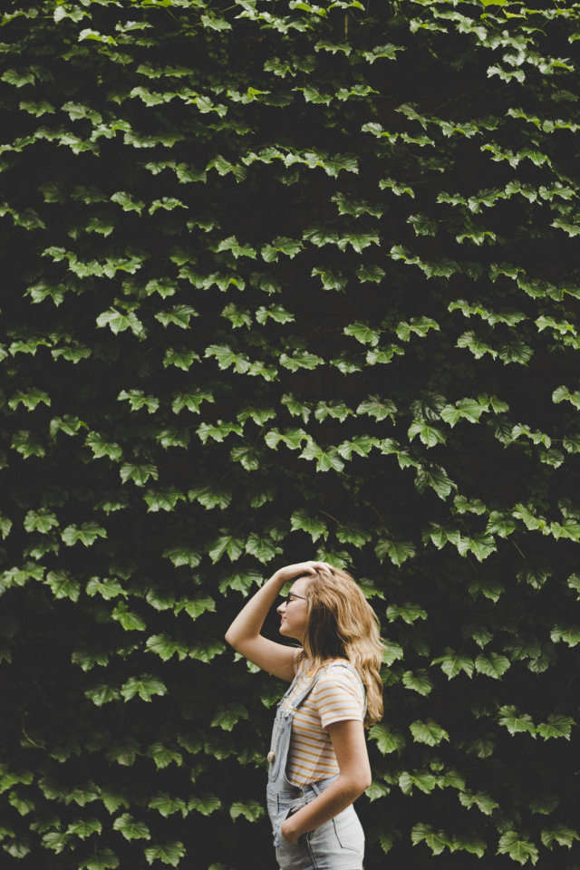 Free: Unsplash ID jf3O5CJFCCk - nohat.cc