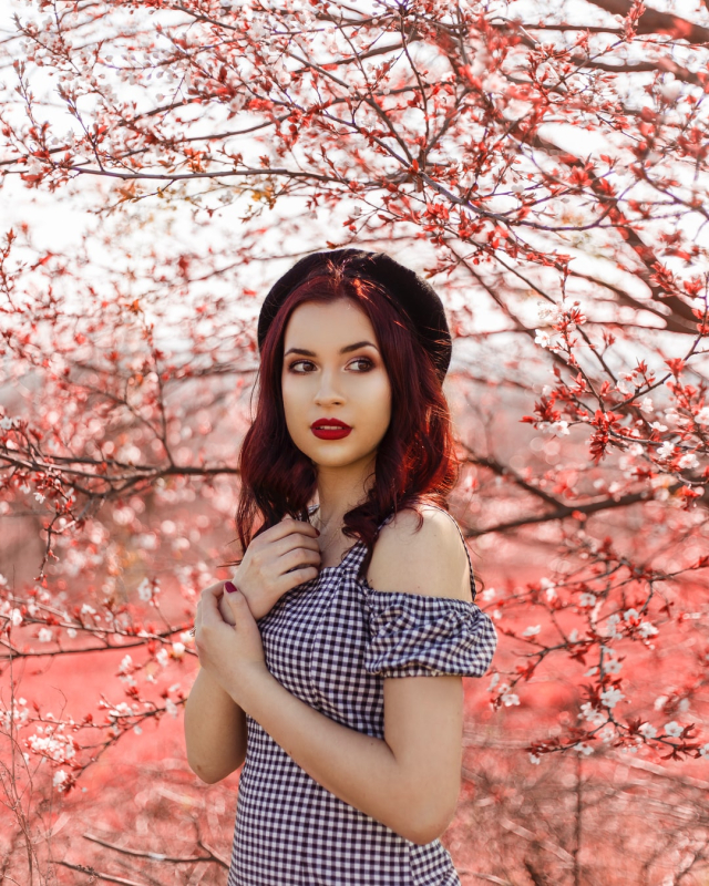 Free: Unsplash ID mCbo65vkb80 - nohat.cc