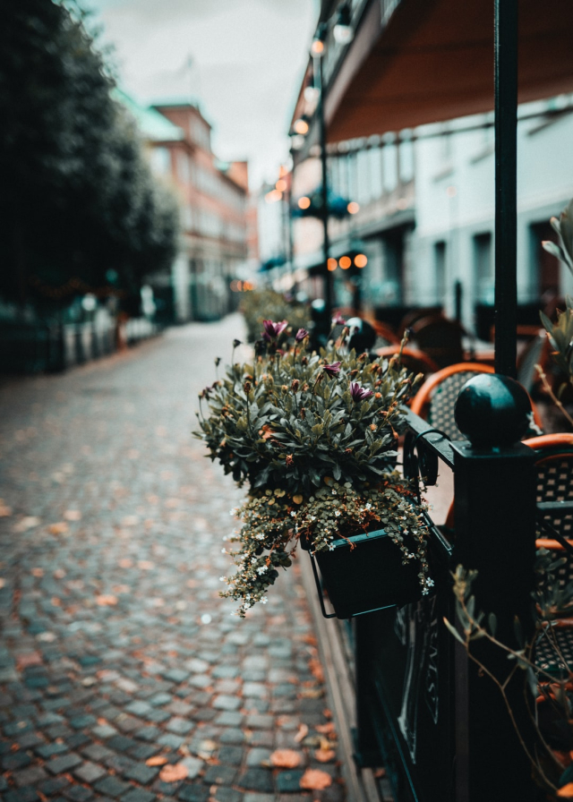 Free: Unsplash ID vfqPdatzcFA - nohat.cc