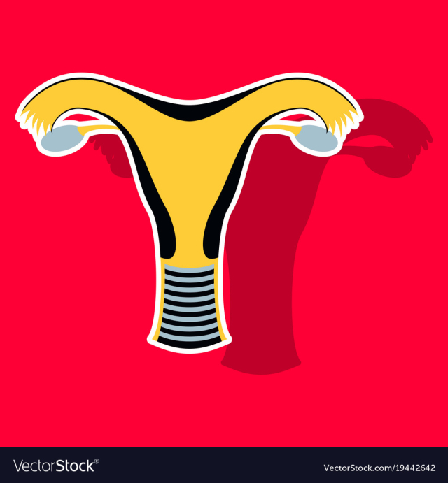 Free: Uterus human internal organs sticker vector image - nohat.cc