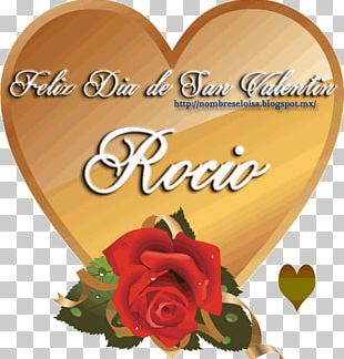 Free: Valentine's Day Happiness Compadre Friendship Mother PNG, Clipart ...