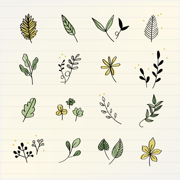 Free: Various leaves doodle collection vector Free Vector - nohat.cc