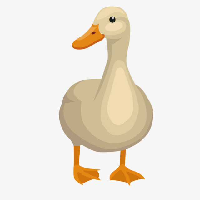 Free: Vector Chicken Ducks Goat Poultry Poultry Ducks, Chicken Vector ...