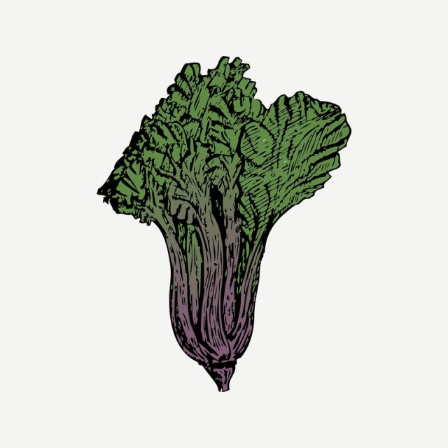 Free: Vegetable collage element, drawing illustration | Free PSD ...