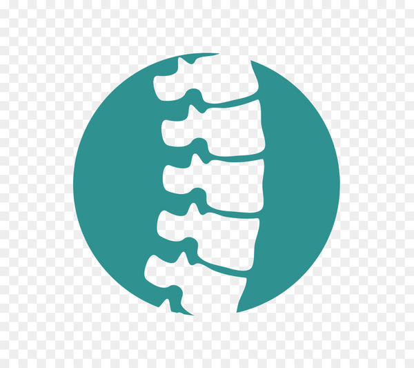 Free: Vertebral column Vector graphics Royalty-free Chiropractic ...