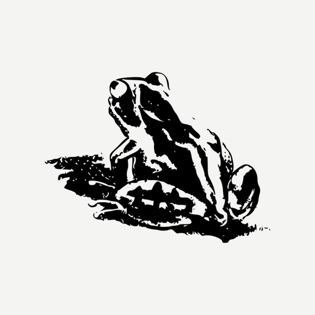 Free: Vintage frog drawing, animal illustration | Free PSD - rawpixel ...