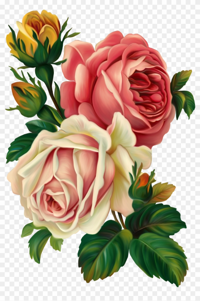 Vintage Rosen Clipart 12 Vintage Rose Clipart Arrangements, Wedding