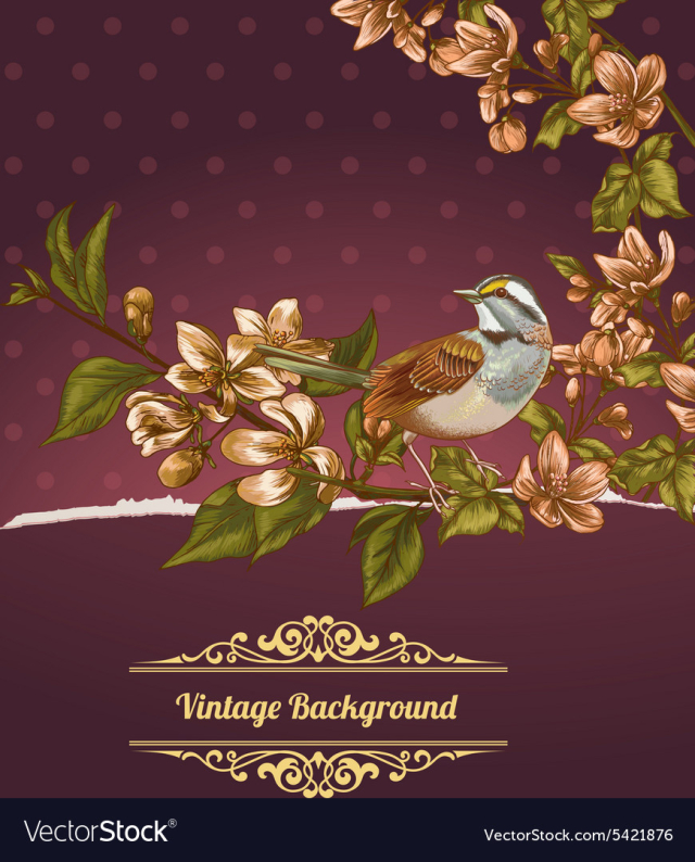 Free: Vintage vector image - nohat.cc