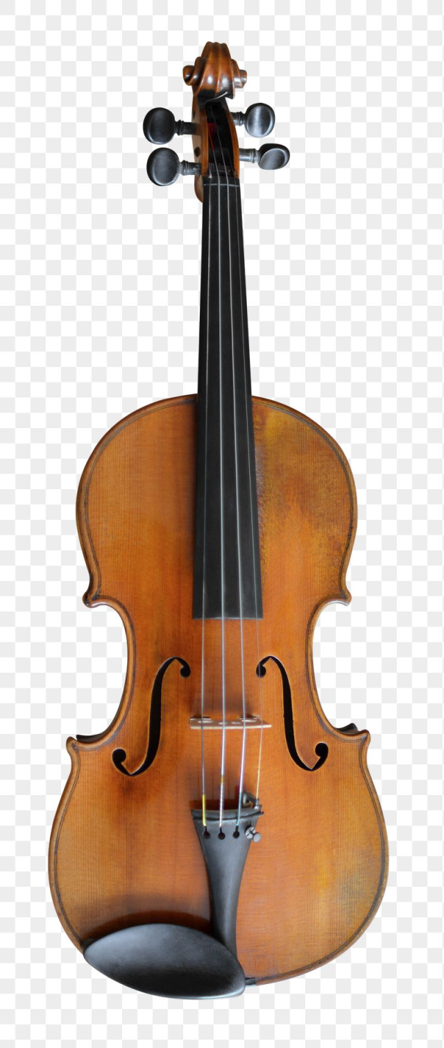 Free: Violin png sticker, musical instrument | Free PNG - rawpixel ...