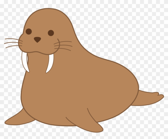 Free: Walrus Clip Art - Walrus Clipart - nohat.cc