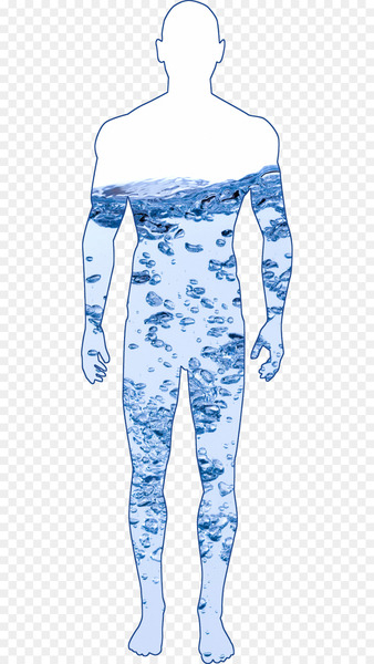 Free: Water Human body Hydration reaction Dehydration Drinking - human ...