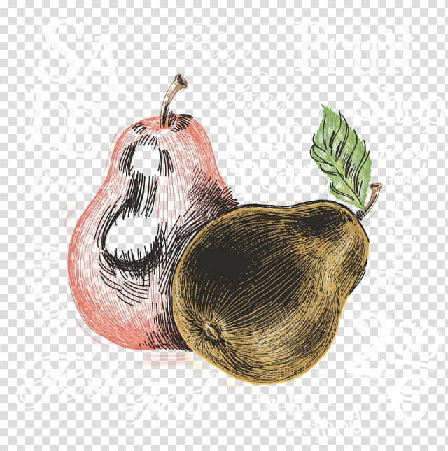 Free: Watercolor painting Pear, Pear transparent background PNG clipart ...