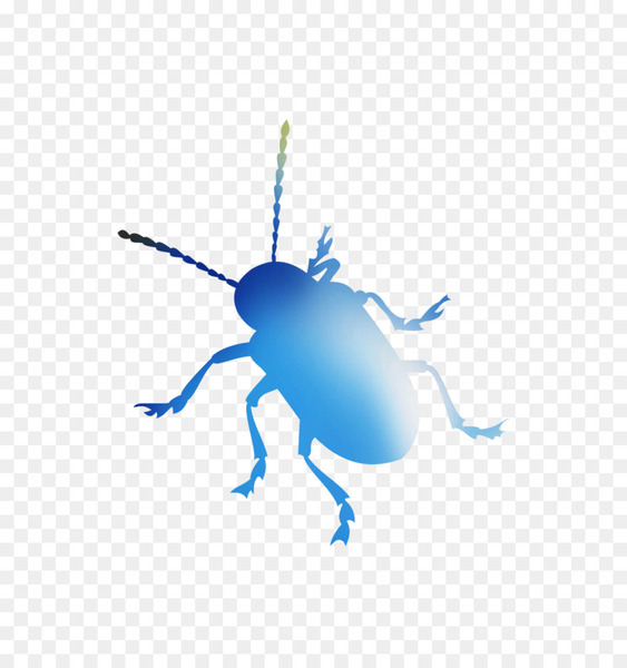 Free: Weevil Beetle Desktop Wallpaper Font Computer - - nohat.cc