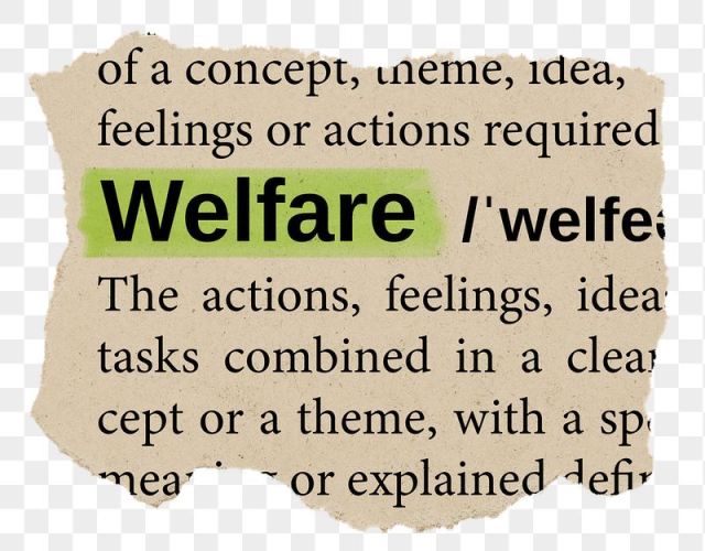 Free: Welfare png word sticker, torn | Free PNG - rawpixel - nohat.cc