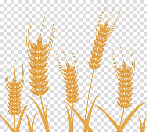 Free: Wheat Illustration, Wheat pattern material exquisite design ...