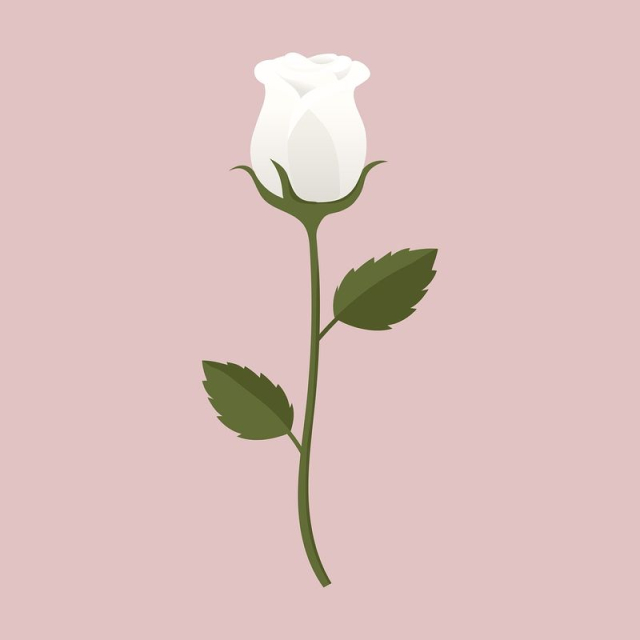 Free: White rose collage element, cute | Free Vector Illustration - rawpixel - nohat.cc