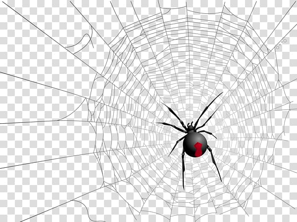 Free: Widow spiders Insect Symmetry Pattern, Halloween spider web ...