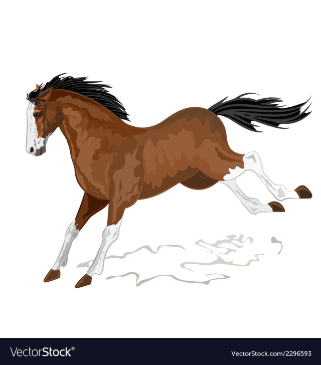 Free: Wild horse vector image - nohat.cc
