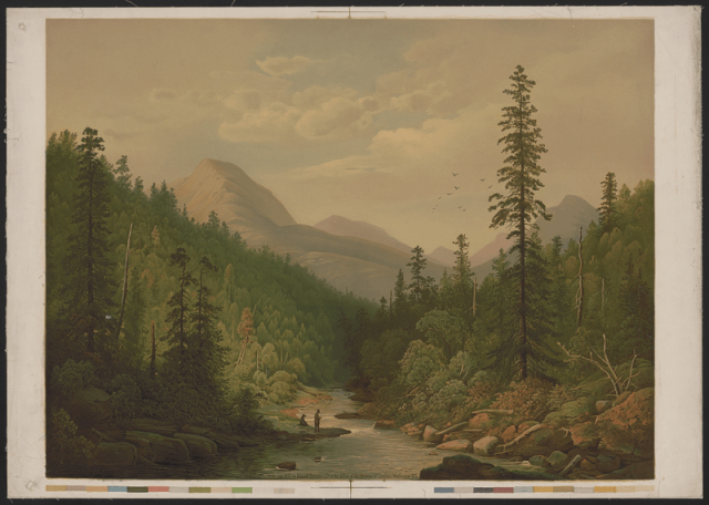 Free: [Wilderness scene with two people | Free Photo - rawpixel - nohat.cc