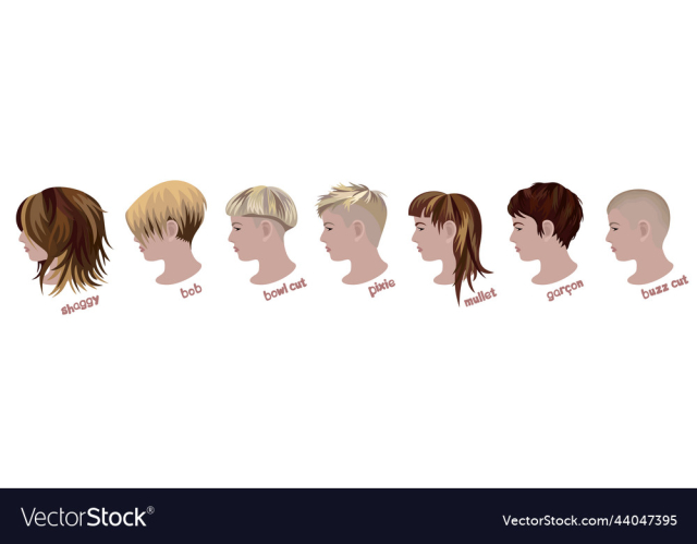 Free: womans various hairstyles collection isolated - nohat.cc