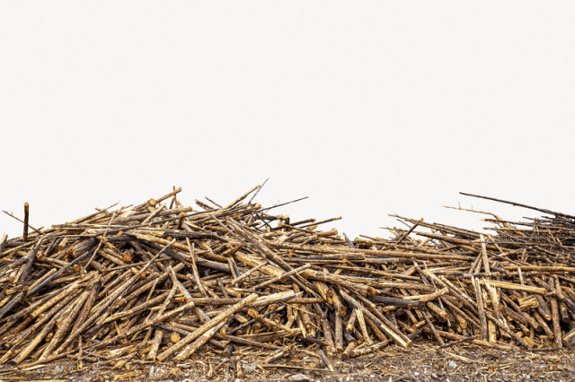 Free: Wood log border collage element | Free PSD - rawpixel - nohat.cc