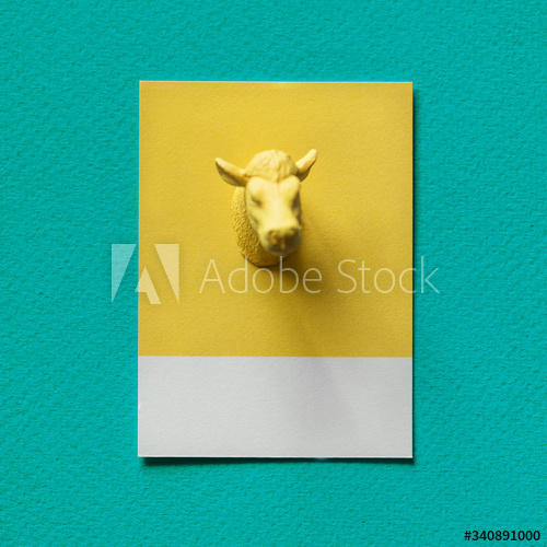 Free: Yellow bulls head on paper - nohat.cc