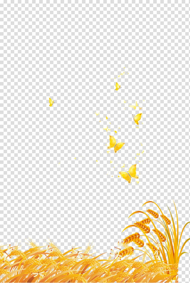 Free: Yellow butterflies illustration, Wheat Advertising Poster Cereal ...