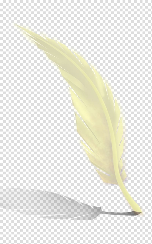 Free: Yellow Feather Material, White feathers transparent background ...