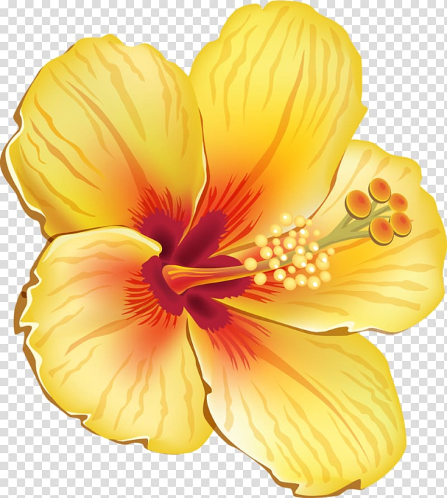 Hawaiian Flower Clip Art