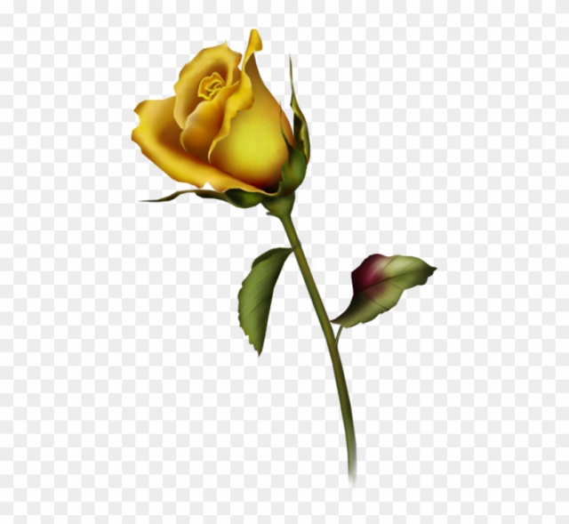 Yellow Rose Bud Clip Art
