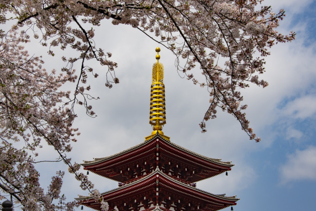 Free: Yellow Tower - nohat.cc