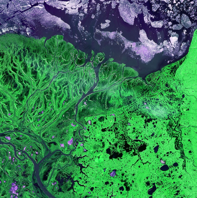 Free: Yukon Kuskokwim river satellite view. | Free Photo - rawpixel ...